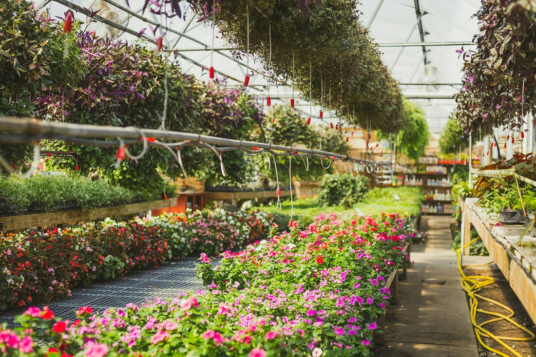 Contact – Midland Horticulture